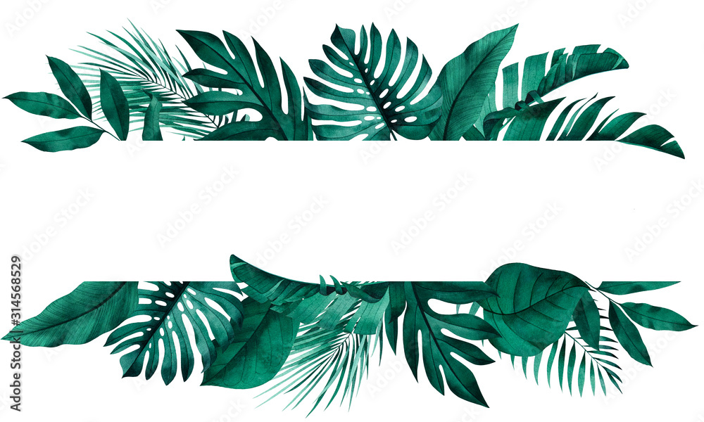 Tropical green plants banner design. Frame with exotic monstera, banana ...