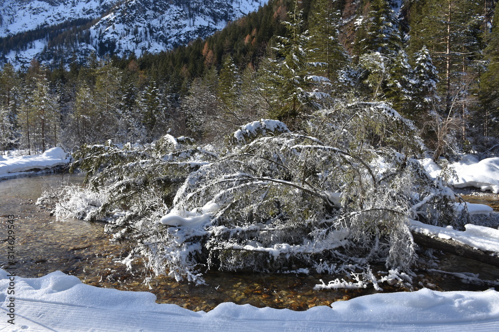 Toblach, Pustertal, Hochpustertal, Höhlensteintal, Winter, Schnee, Wald ...