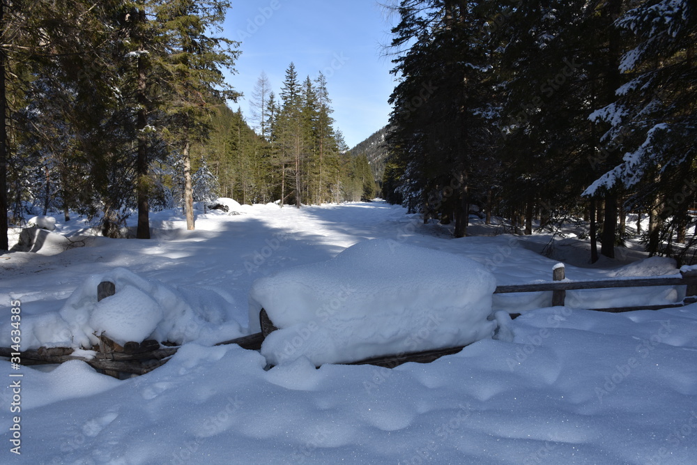 Toblach, Pustertal, Hochpustertal, Höhlensteintal, Winter, Schnee, Wald ...