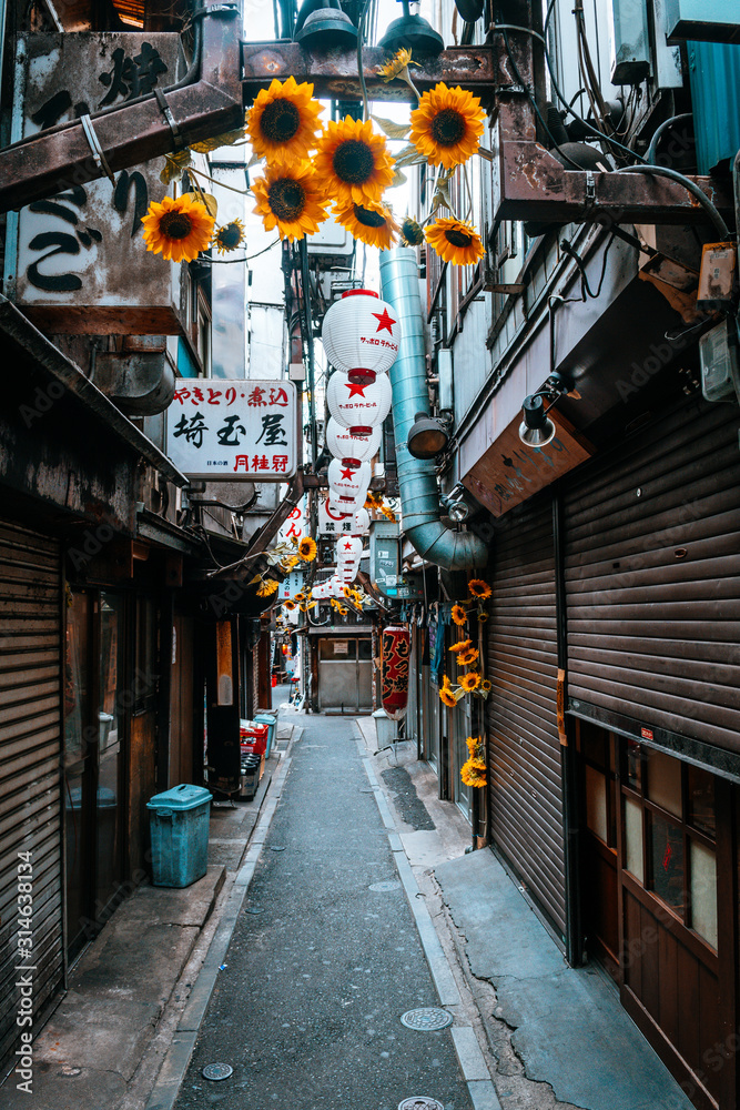 tokyo, japan. 14th august, 2018: dirty streets of golden gai in ...