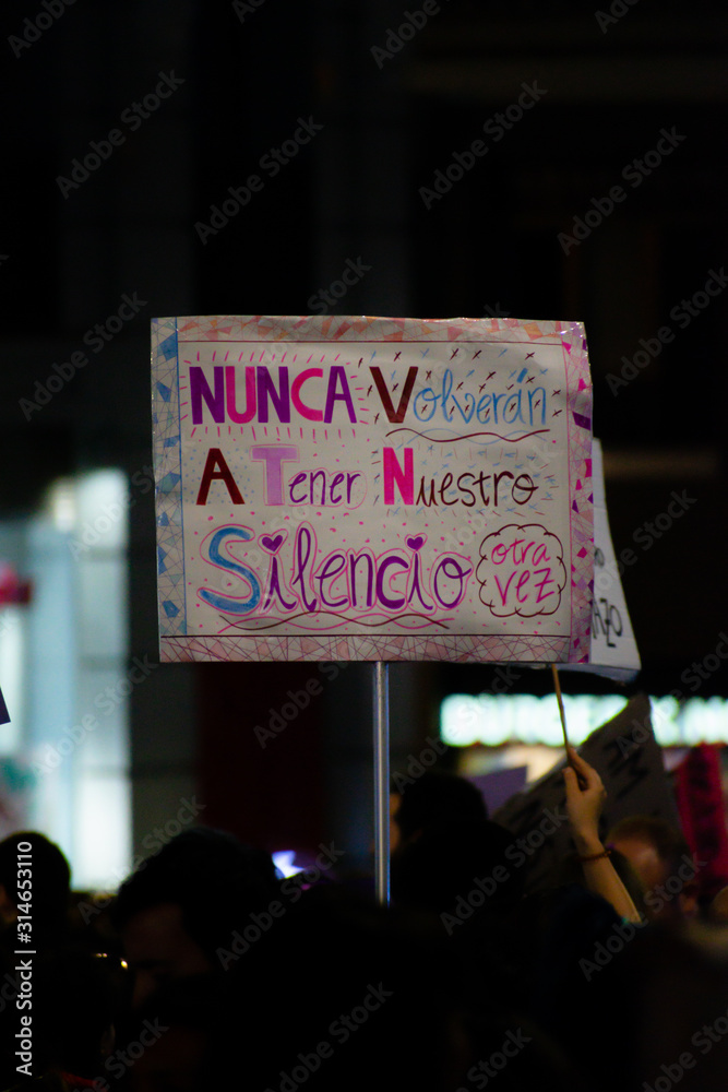 Feminist Protest Signs