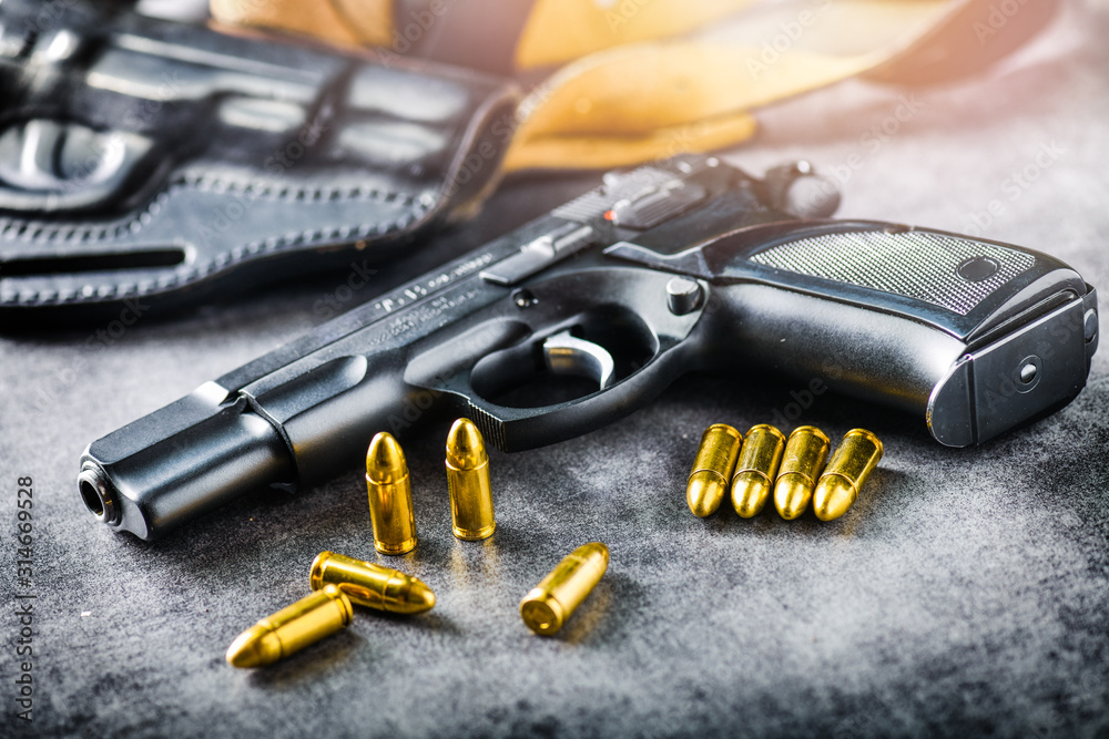 Pistol Bullets Solid