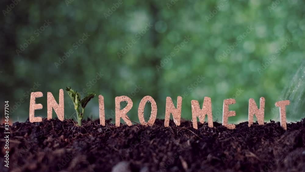 close up Wooden text environment and the globe over blurred green ...