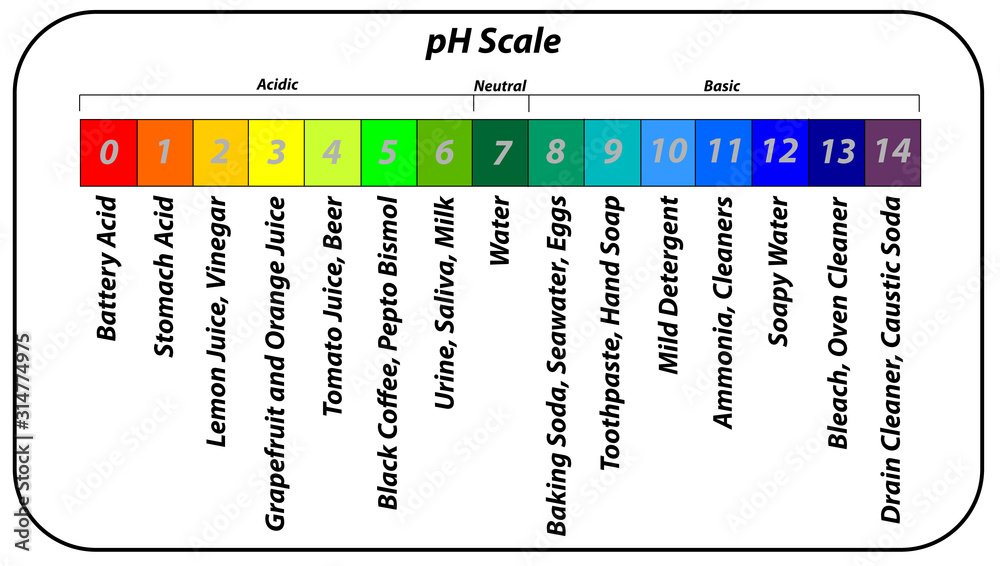 pH scale Stock Illustration | Adobe Stock
