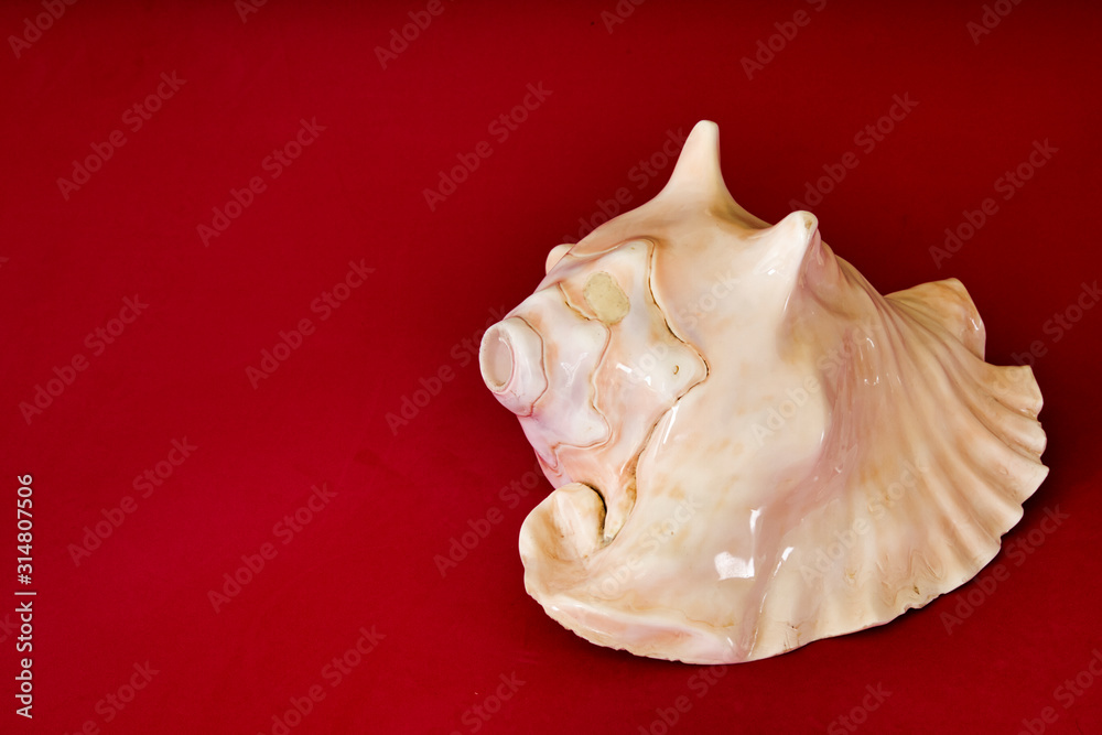 Foto de Prehispanic instrument of Mexico, Caracol Azteca do Stock ...