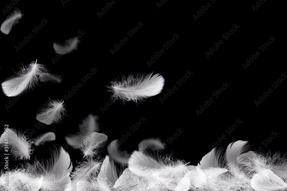 Down Feathers. Soft White Fluffly Feathers Falling in The Air. Floating ...