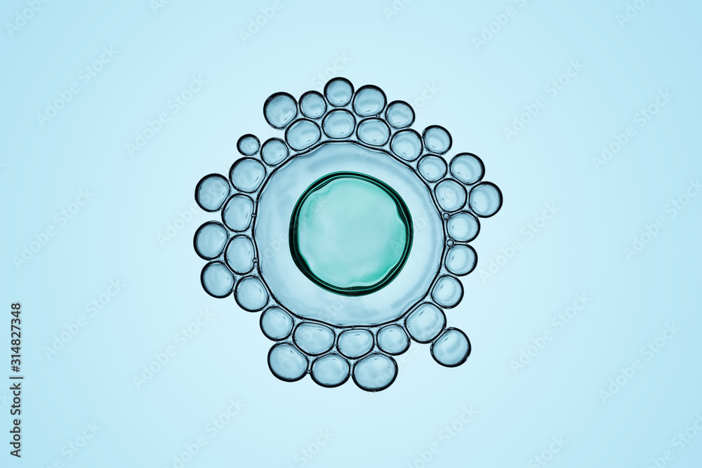 Cells division process, Cell divides into two cells Stock Photo | Adobe ...
