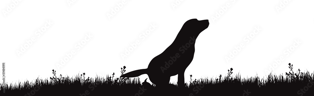 Vector silhouette of dog whos poop on white background. Symbol of pet ...