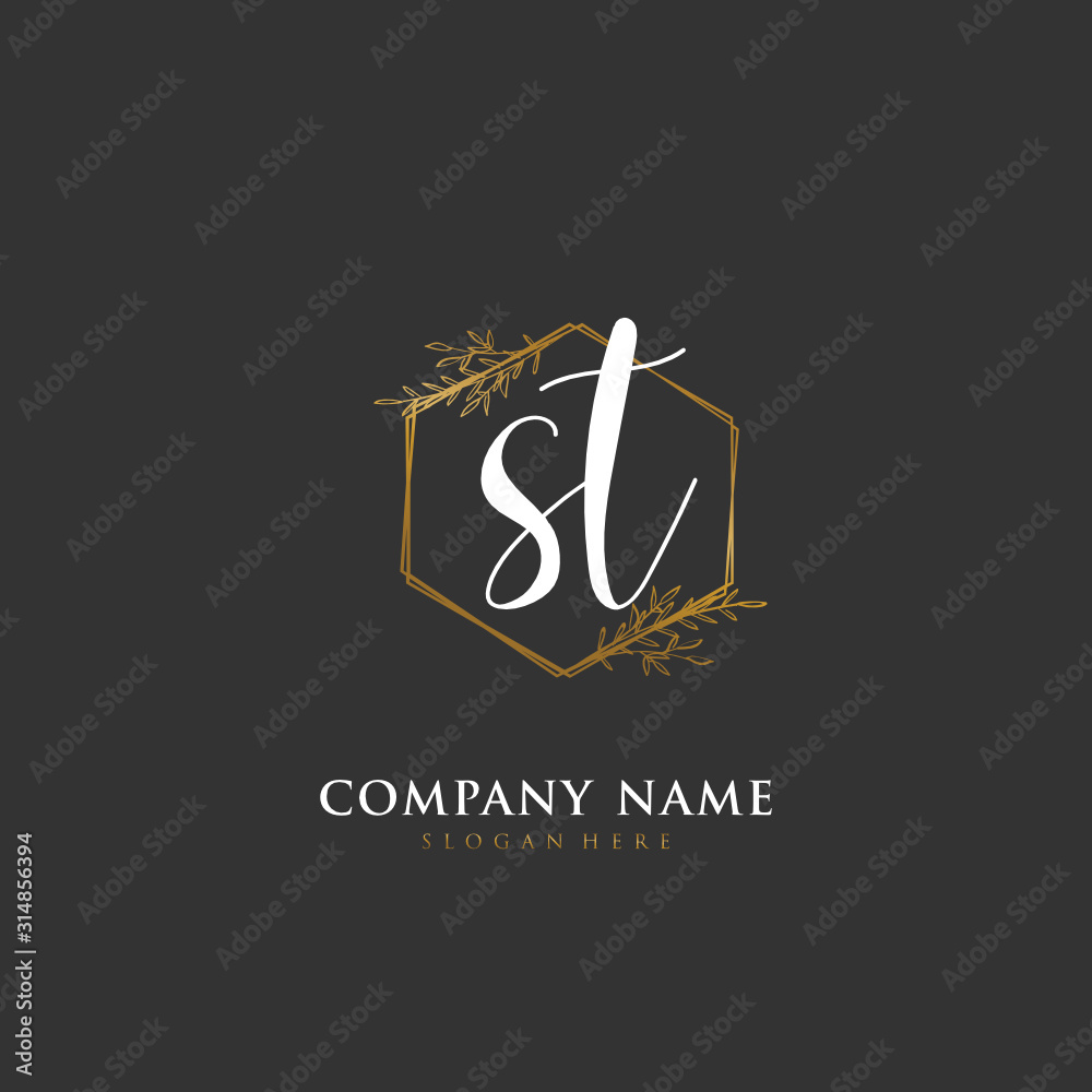Handwritten initial letter S T ST for identity and logo. Vector logo ...