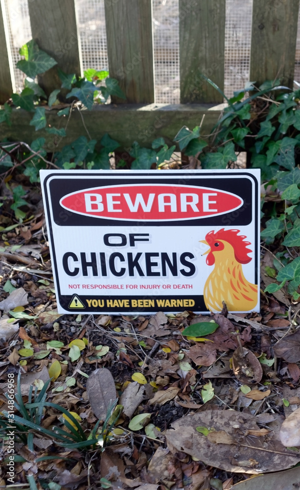 BEWARE OF CHICKENS sign in urban neighborhood. Fun. Humor. Stock Photo ...