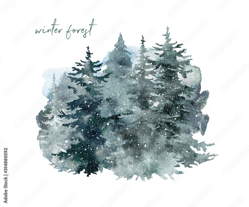 Winter Pine Trees Drawing