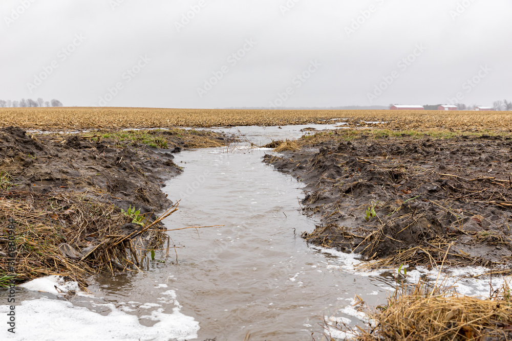 January storms with heavy rain caused flash flooding in Illinois farm ...