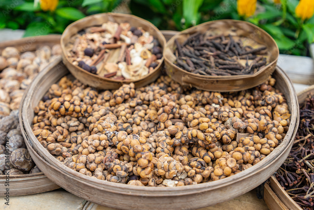 Tray of civet cat poo containing digested coffee beans. Once roasted ...