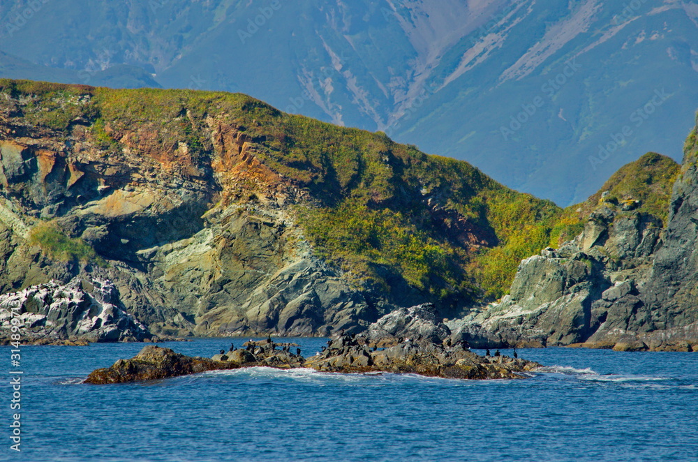 Russia. Far East, Kamchatka Peninsula. Along the coast of the Avacha ...