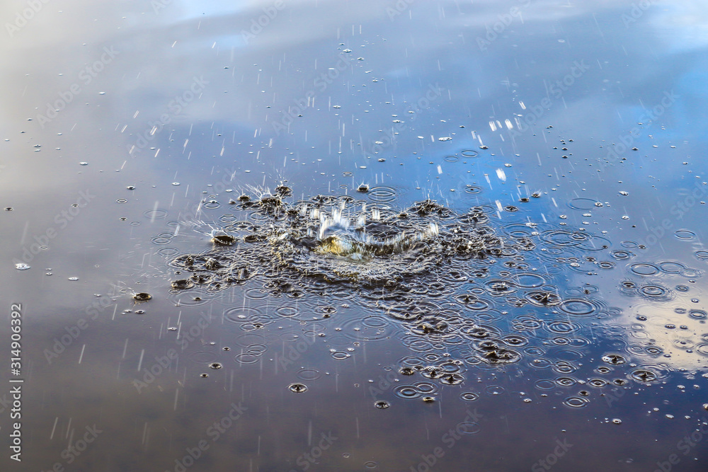 Beautiful water waves and ripples from a drop falling into a water ...