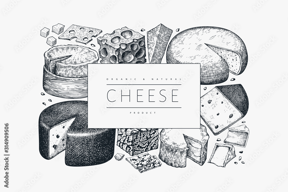 Cheese design template. Hand drawn vector dairy illustration. Engraved ...
