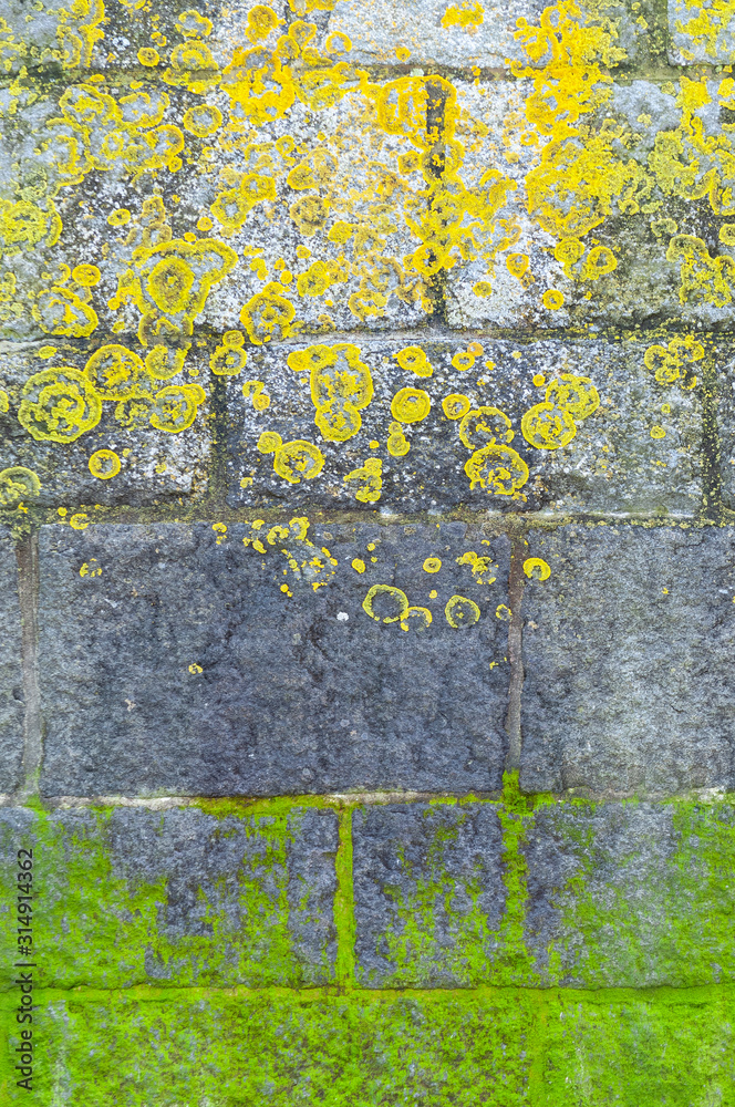 Foto de Saint Malo. Bretagne. Mur du port à marée basse recouvert d ...