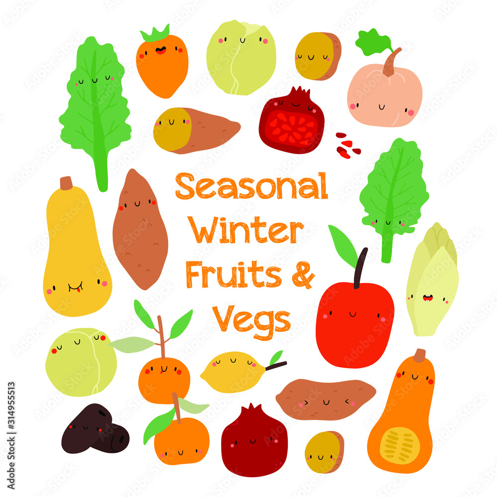Seasonal Winter Fruits and Vegs - vector illustration on a white ...