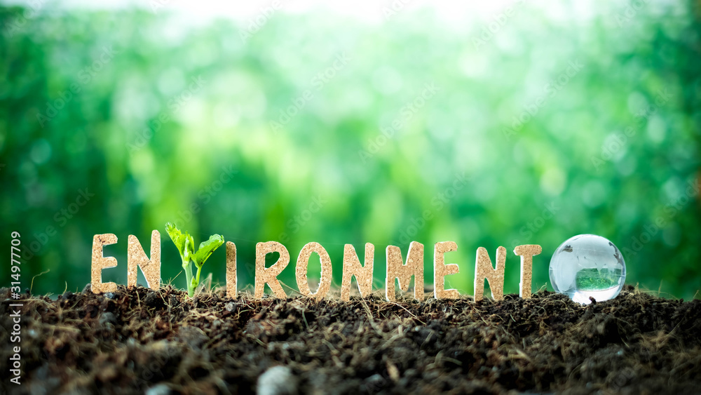 close up Wooden text environment and the globe over blurred green ...