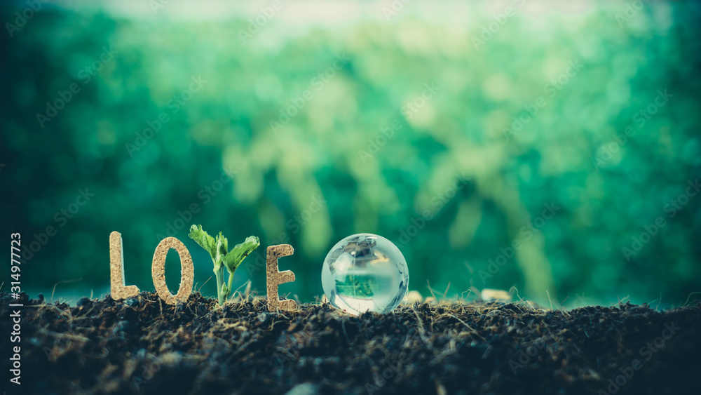 Text and trees make up the word love And the glass globe over blurred ...