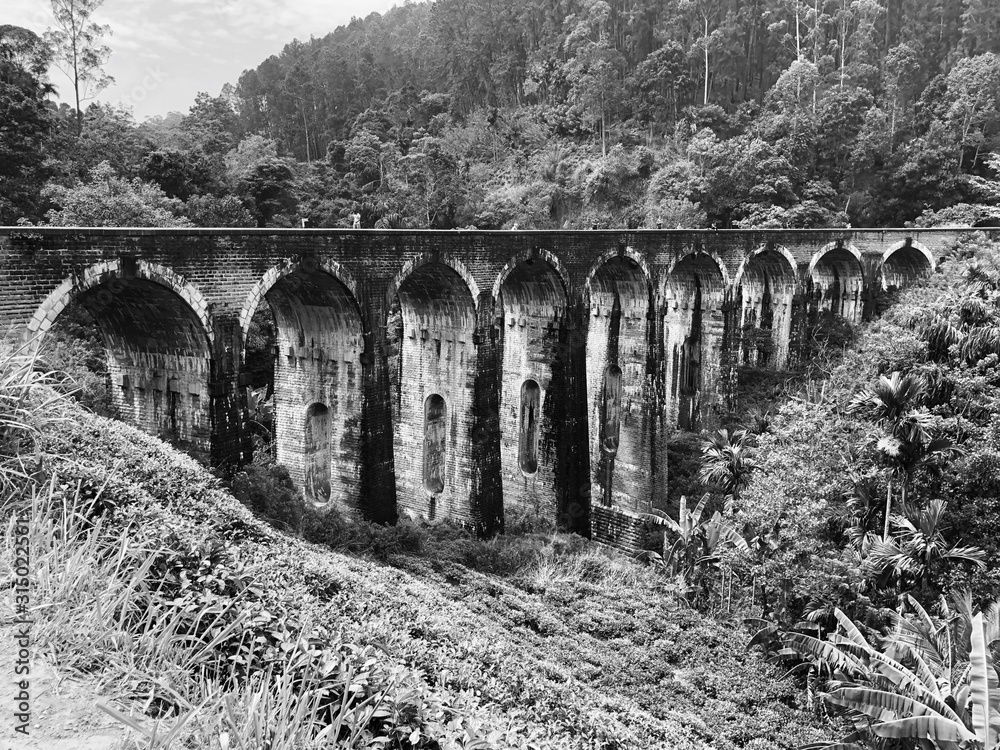 Nine Arch Bridge, Sri Lanka Stock Photo | Adobe Stock