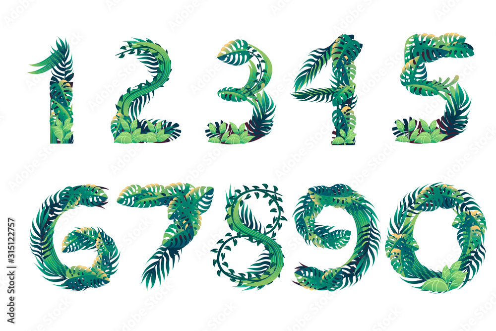 Set of leaf numbers with different types of green leaves and foliage ...