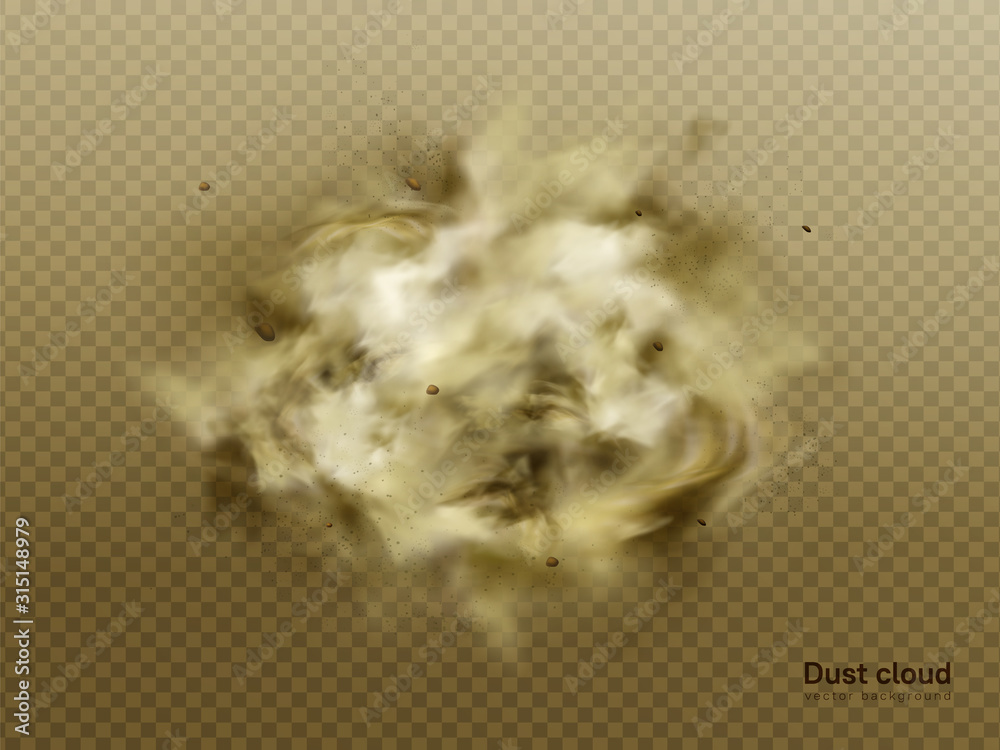 Desert sandstorm, brown dusty cloud or dry sand flying with gust of ...