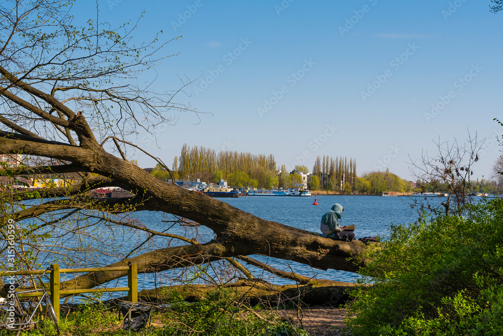 Man sitting on a Tree and read a book, man on a big tree, spring time ...