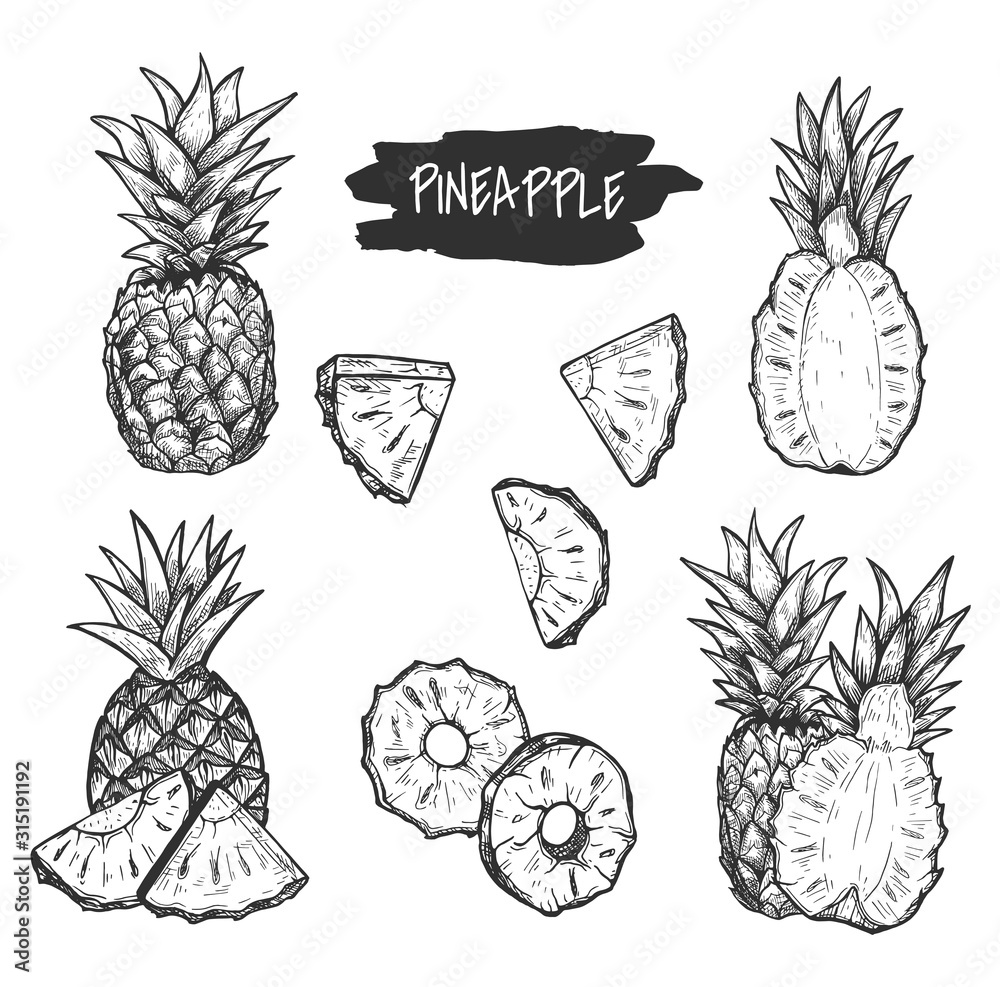 Detailed tropical pineapple drawing Stock Vector | Adobe Stock