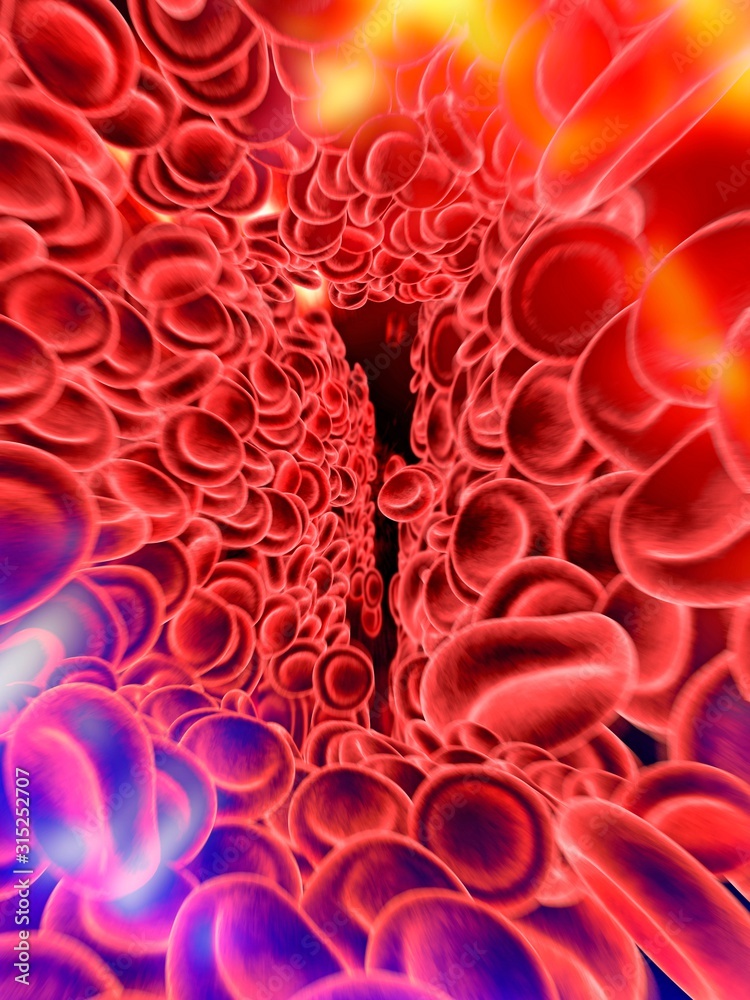 Red blood cells, computer artwork Stock Photo | Adobe Stock