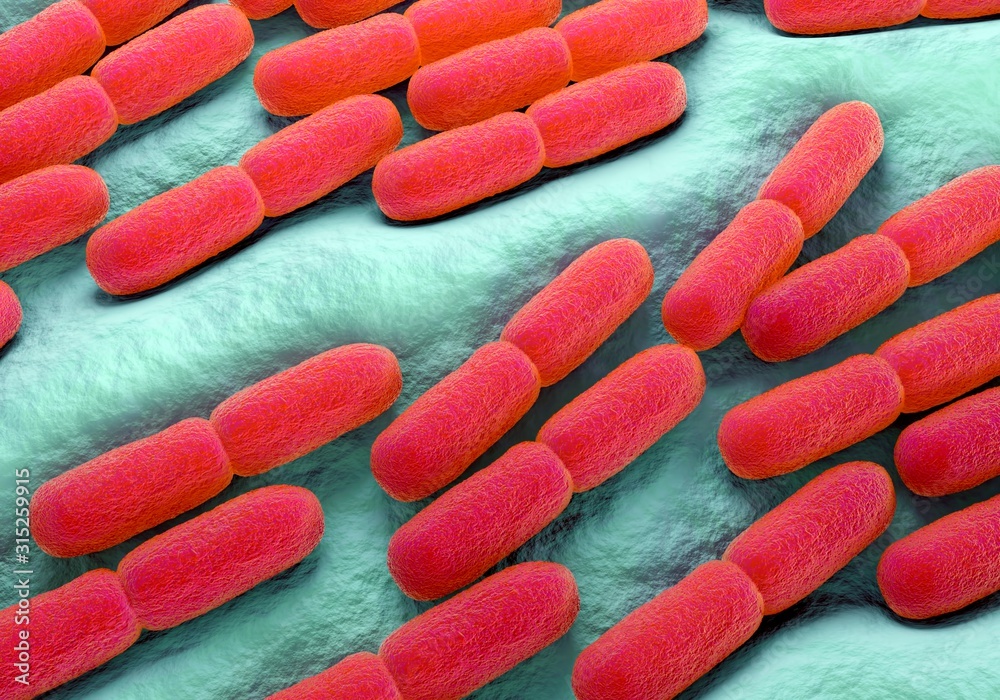 Lactobacillus bacteria, illustration Stock Photo | Adobe Stock