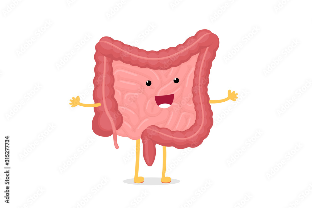 Vettoriale Stock Cute cartoon healthy intestines smiley character ...