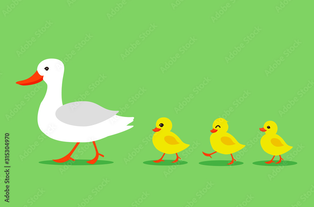 Cartoon Color Duck and Different Little Ducks Set. Vector Stock Vector ...