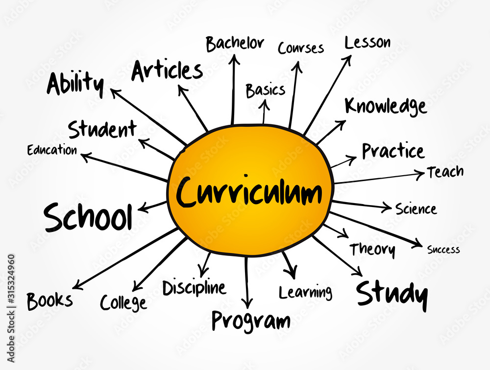 Curriculum mind map flowchart, education concept for presentations and ...