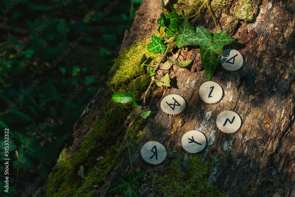 On the trunk of a tree, covered with ivy, are wooden Scandinavian runes ...
