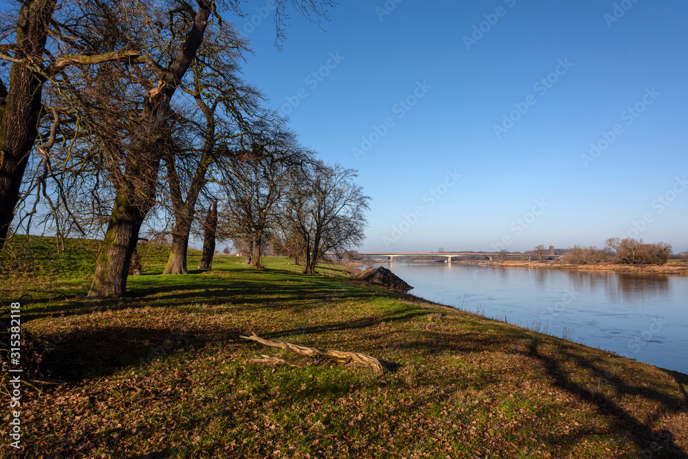 Germany, Saxony-Anhalt, Vockerode, near Dessau: Riverbank with calm ...