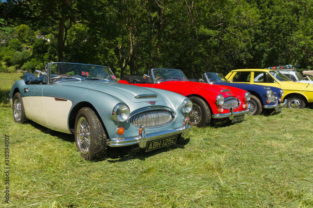 Line up of Austin Healey 3000 Mark 3 sports cars an iconic classic ...