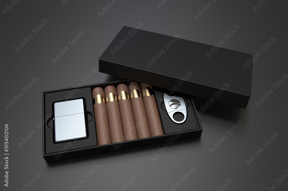 Blank cigars, lighter and cigar cutter in hard paper box template for ...