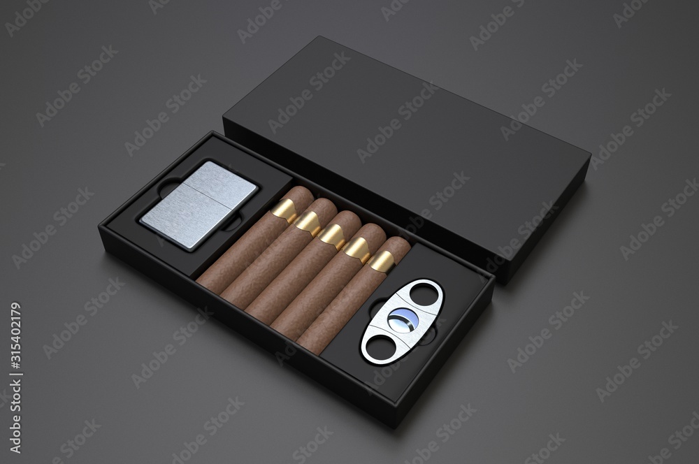 ภาพประกอบสต็อก Blank cigars, lighter and cigar cutter in hard paper box ...