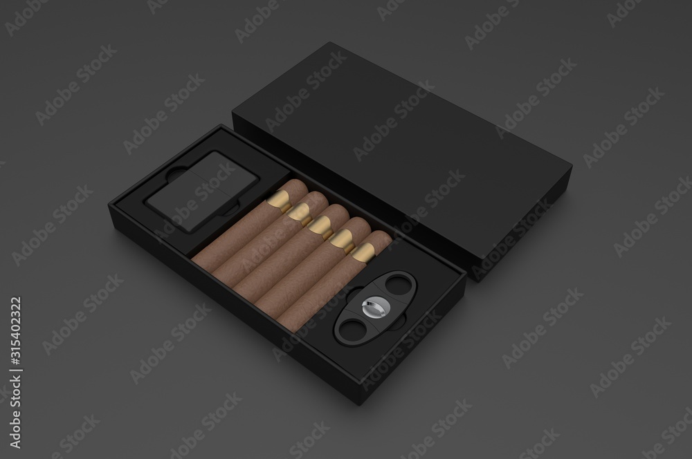Blank cigars, lighter and cigar cutter in hard paper box template for ...