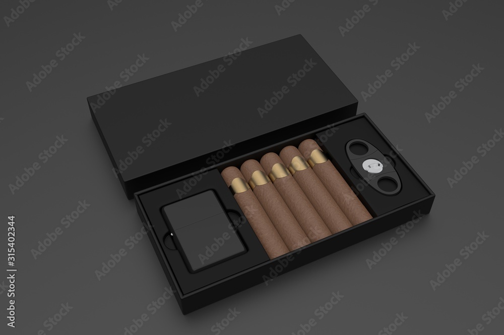 Blank cigars, lighter and cigar cutter in hard paper box template for ...