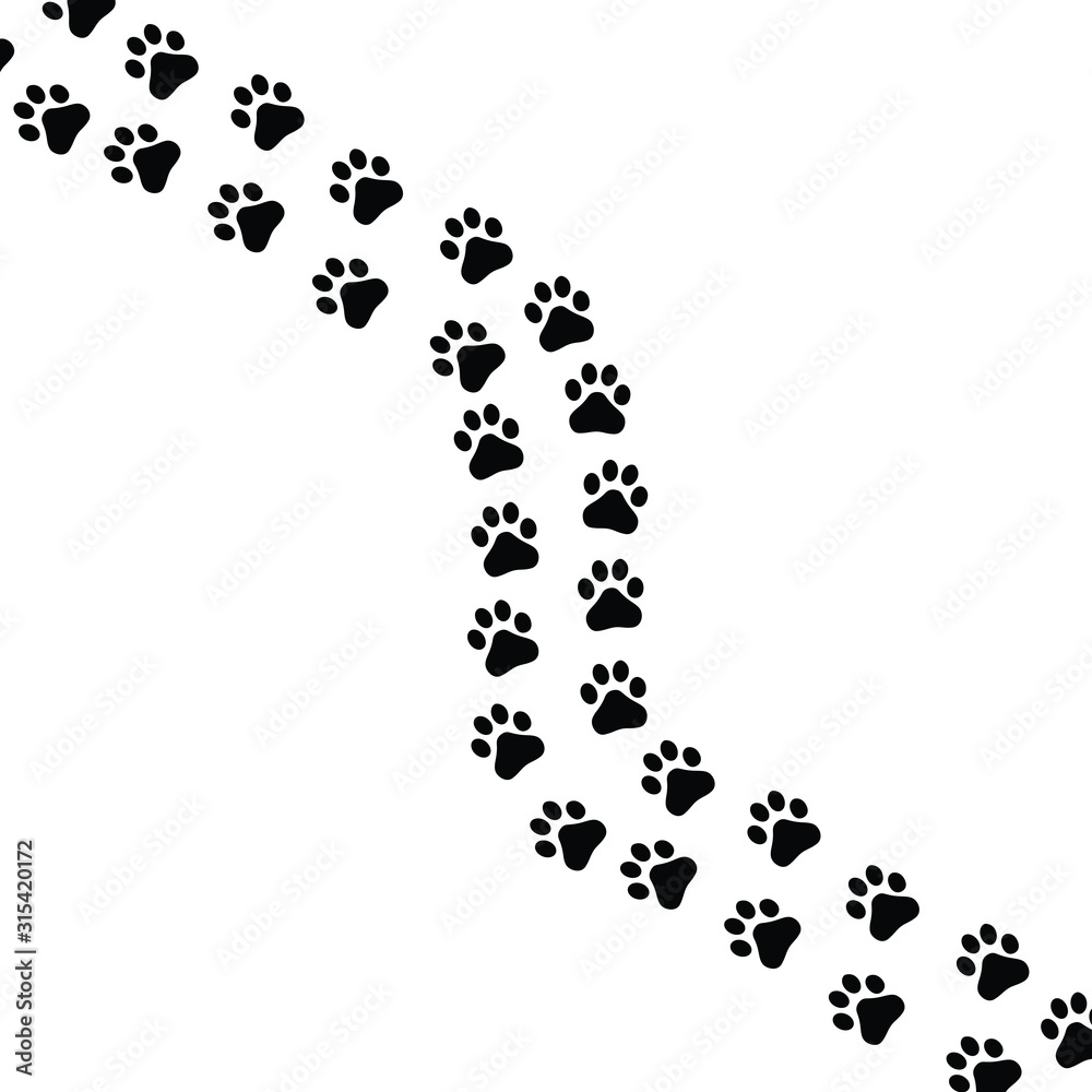 Paw Print Trail Color