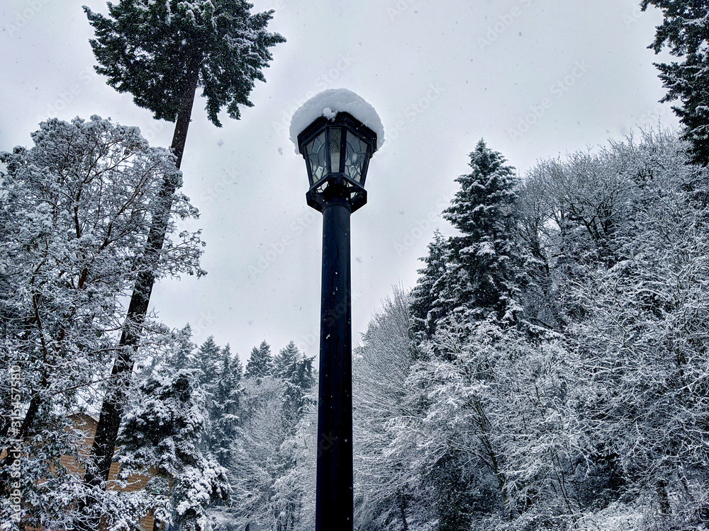 Selective focus on a tall, dark lamp post during a snow storm in the ...