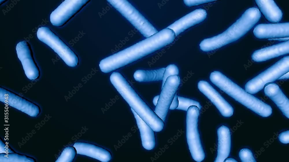 Probiotic lactobacilli under microscope. Scientific 3d medical render ...