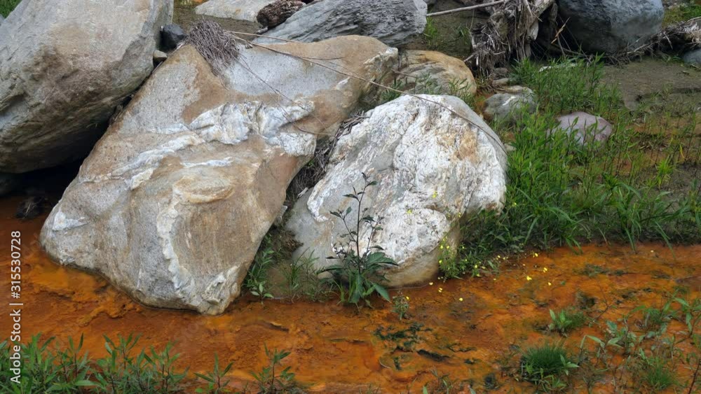 Iron bacteria growing in a stream. These microorganisms derive their ...