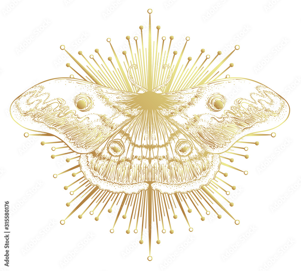 Poster Golden moth over sacred geometry sign, isolated vector ...