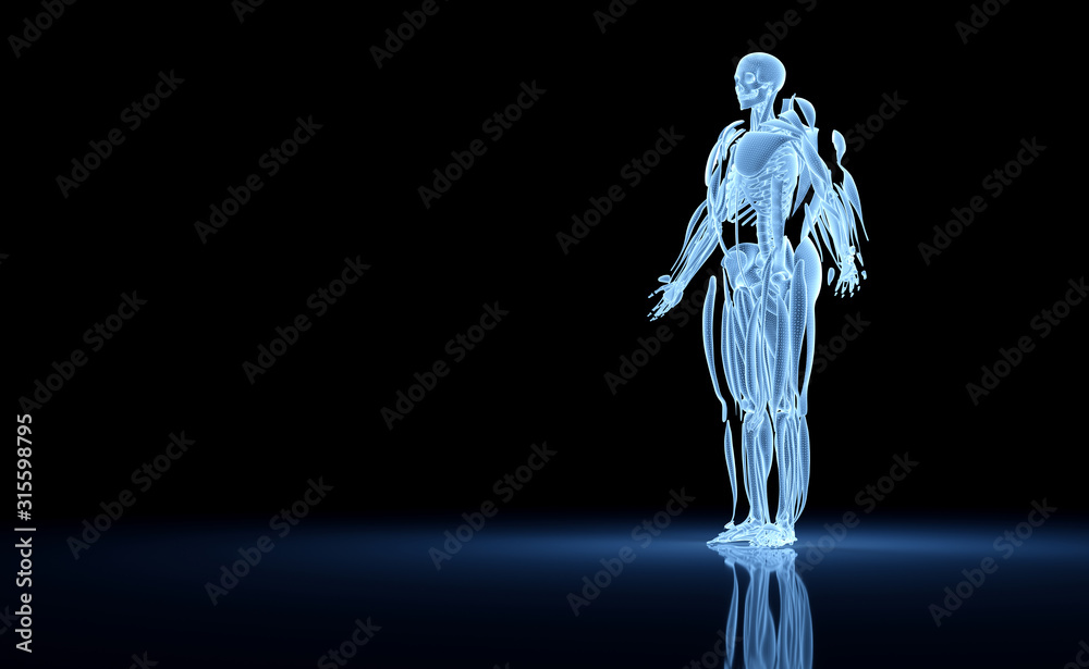 Digital x-ray human body holographic scan projection 3D rendering Stock ...