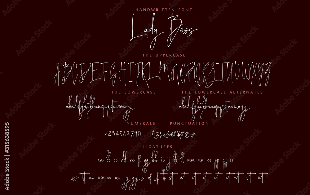 Handwritten script font vector alphabet Lady Boss set Stock Vector ...