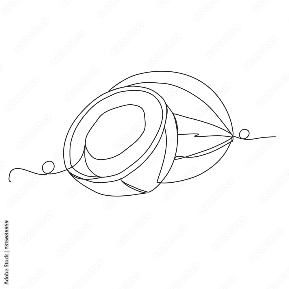 Coconut Line Drawing