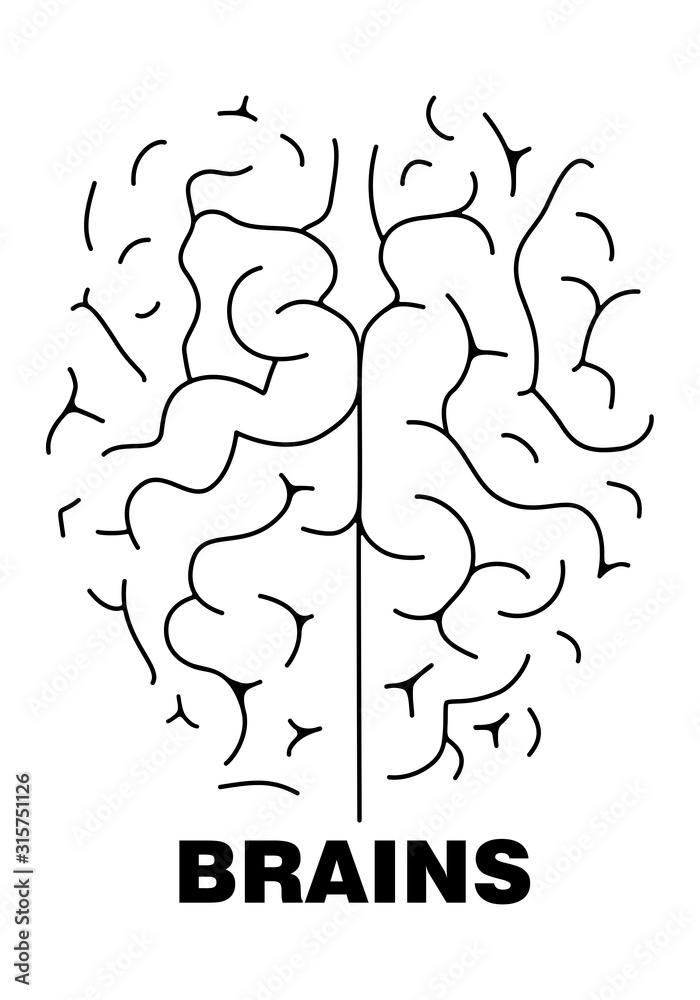 Brain Line Drawing Top